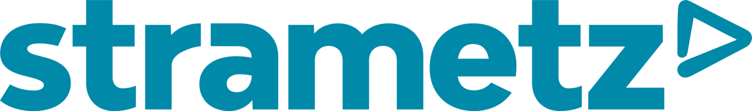 Strametz: Führungskräfte erlebbar anders auswählen & entwickeln